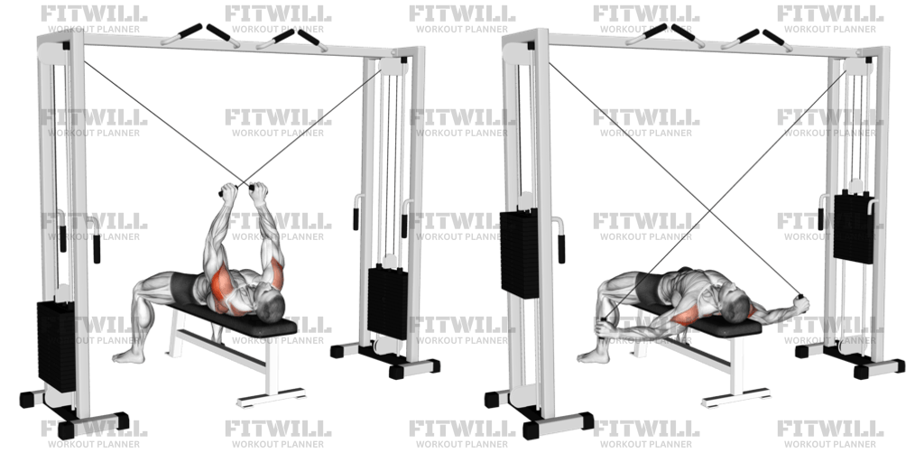 Cable Supine Reverse Fly: Exercise Guide, Techniques, Benefits, How to ...