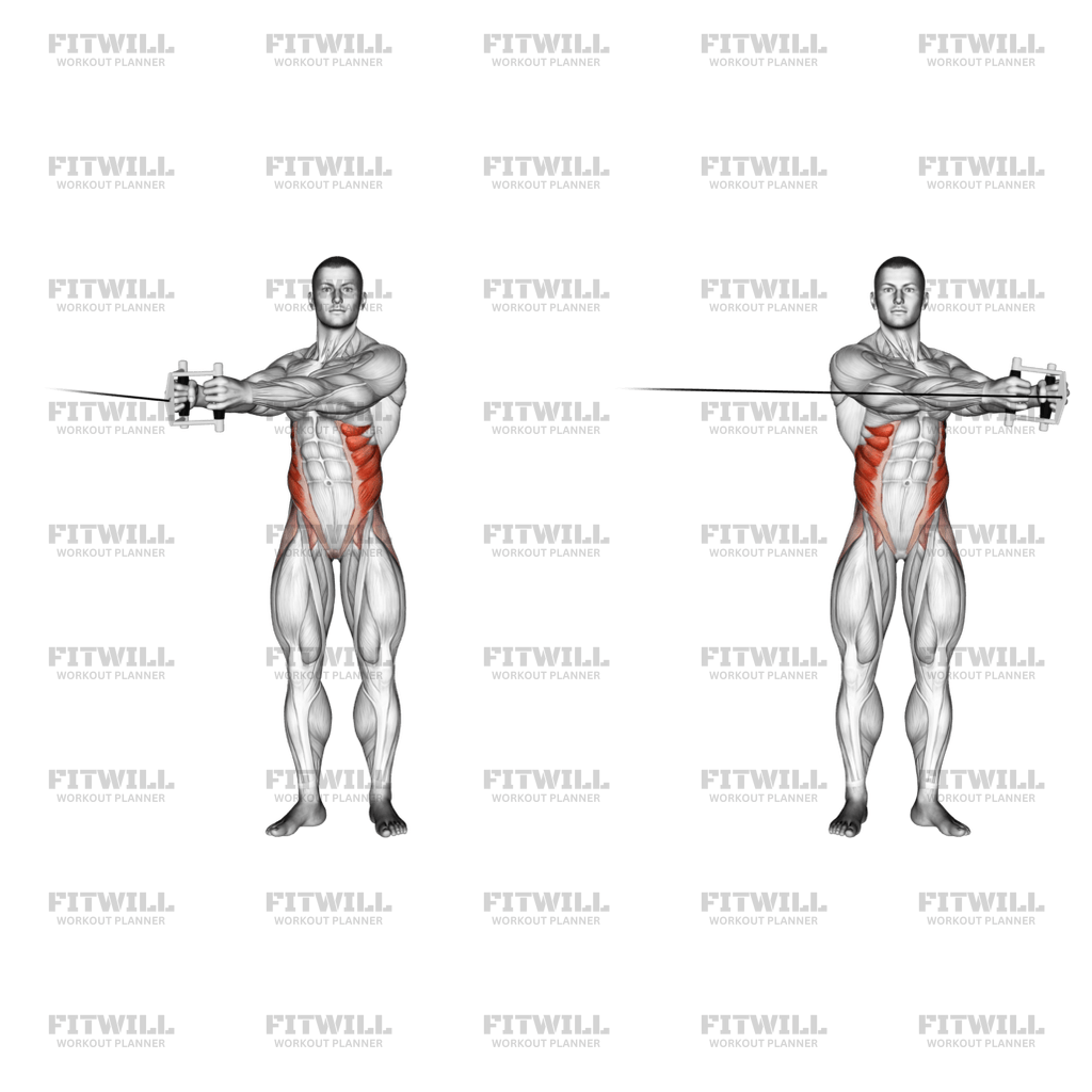 Cable Twist: Exercise Guide, Video, Techniques, Benefits, How to ...