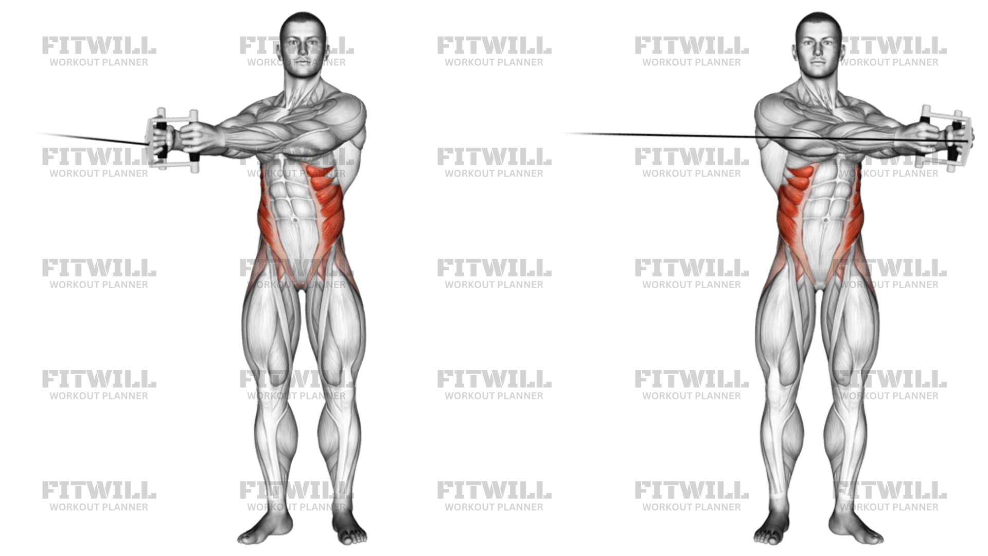 Cable Twist: Exercise Guide, Video, Techniques, Benefits, How to ...