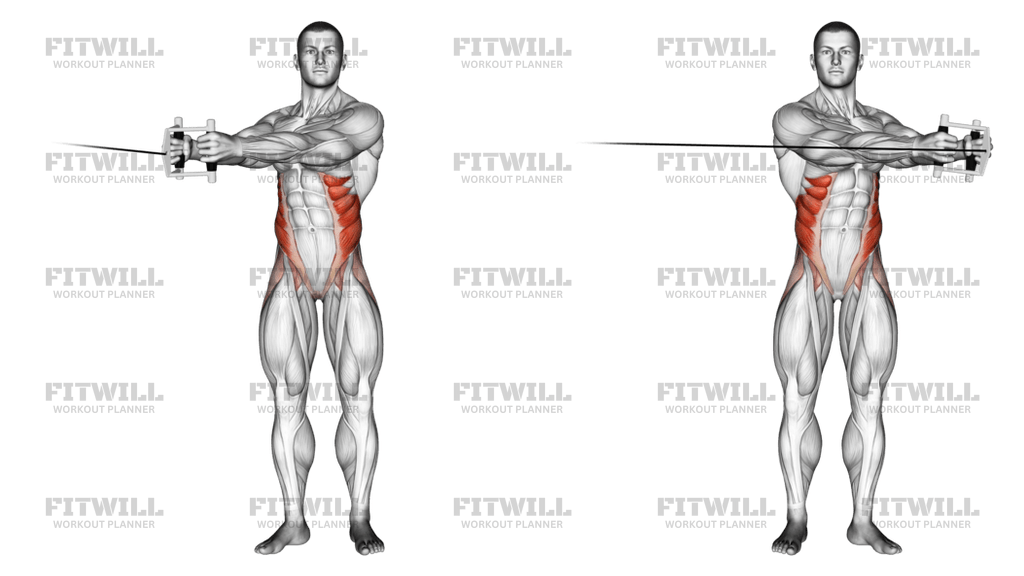 Cable Twist: Exercise Guide, Video, Techniques, Benefits, How to ...