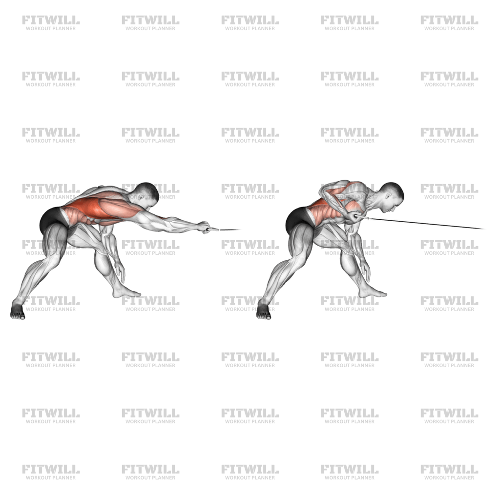 Cable Twisting Pull: Exercise Guide, Video, Techniques, Benefits, How ...