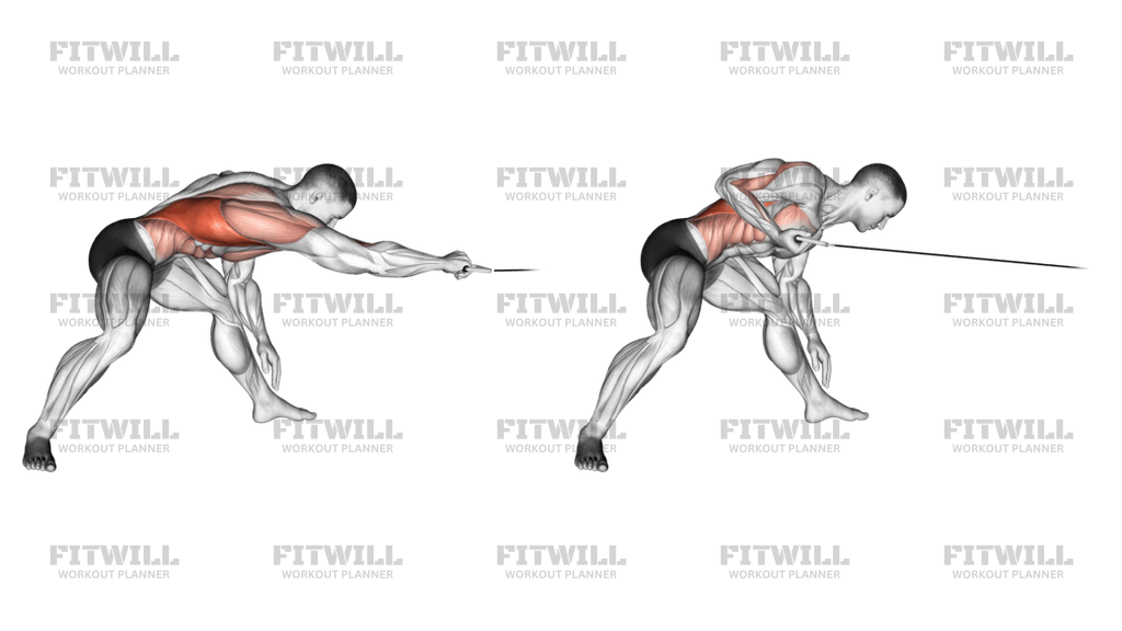 Cable Twisting Pull: Exercise Guide, Video, Techniques, Benefits, How ...