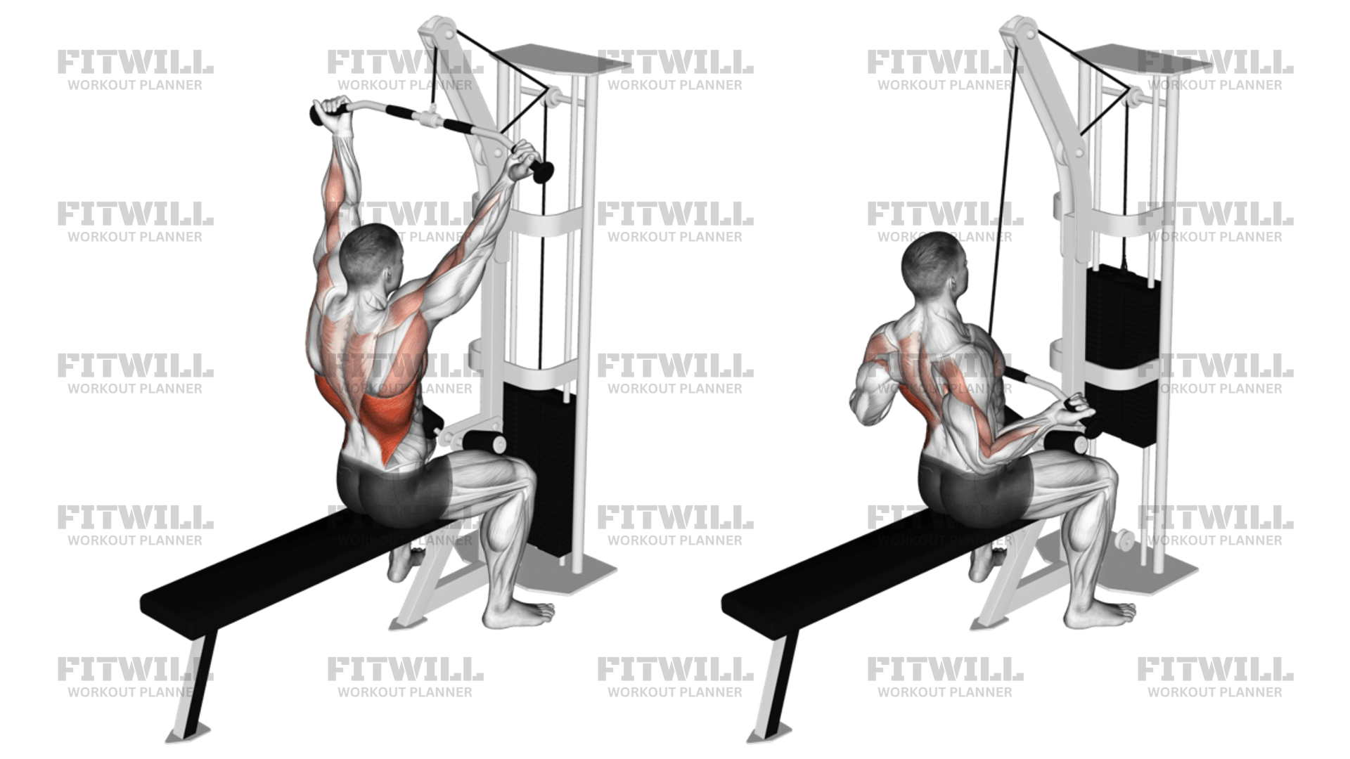 Cable Underhand Pulldown: Exercise Guide, Video, Techniques, Benefits ...