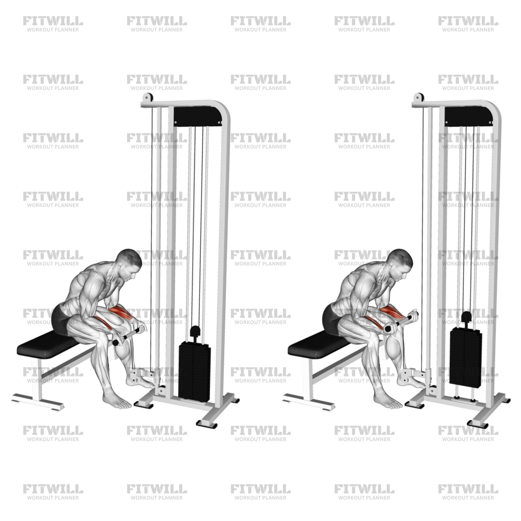 Cable Wrist Curl: Exercise Guide, Video, Techniques, Benefits, How to ...