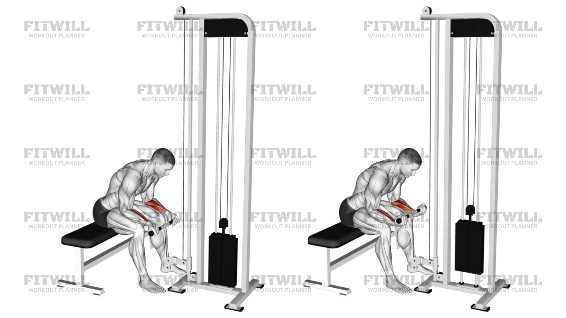 Cable Wrist Curl Exercise Guide Video Techniques Benefits How To