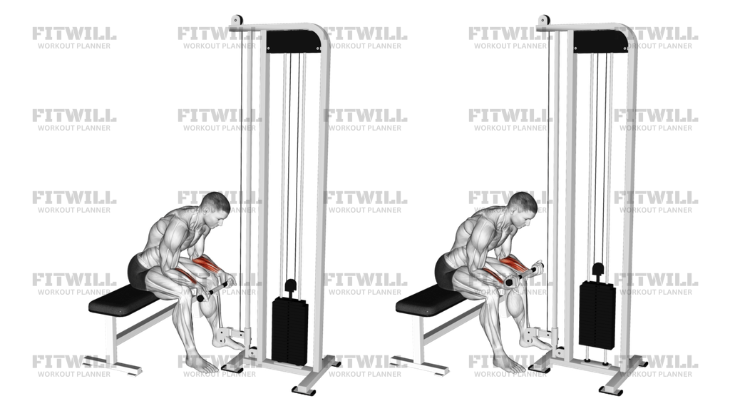 Cable Wrist Curl: Exercise Guide, Video, Techniques, Benefits, How to ...