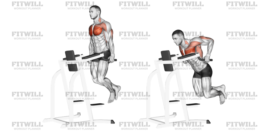 Chest Dip: Exercise Video, Guide, Techniques, Benefits, How to, Muscles ...