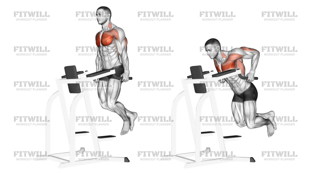 Chest Dip: Exercise Guide, Video, Techniques, Benefits, How to, Muscles ...