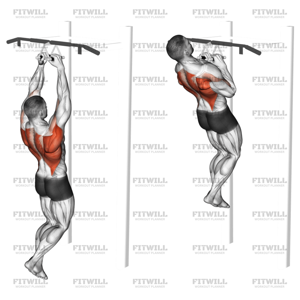 Chin-ups (narrow Parallel Grip): Exercise Guide, Video, Techniques ...