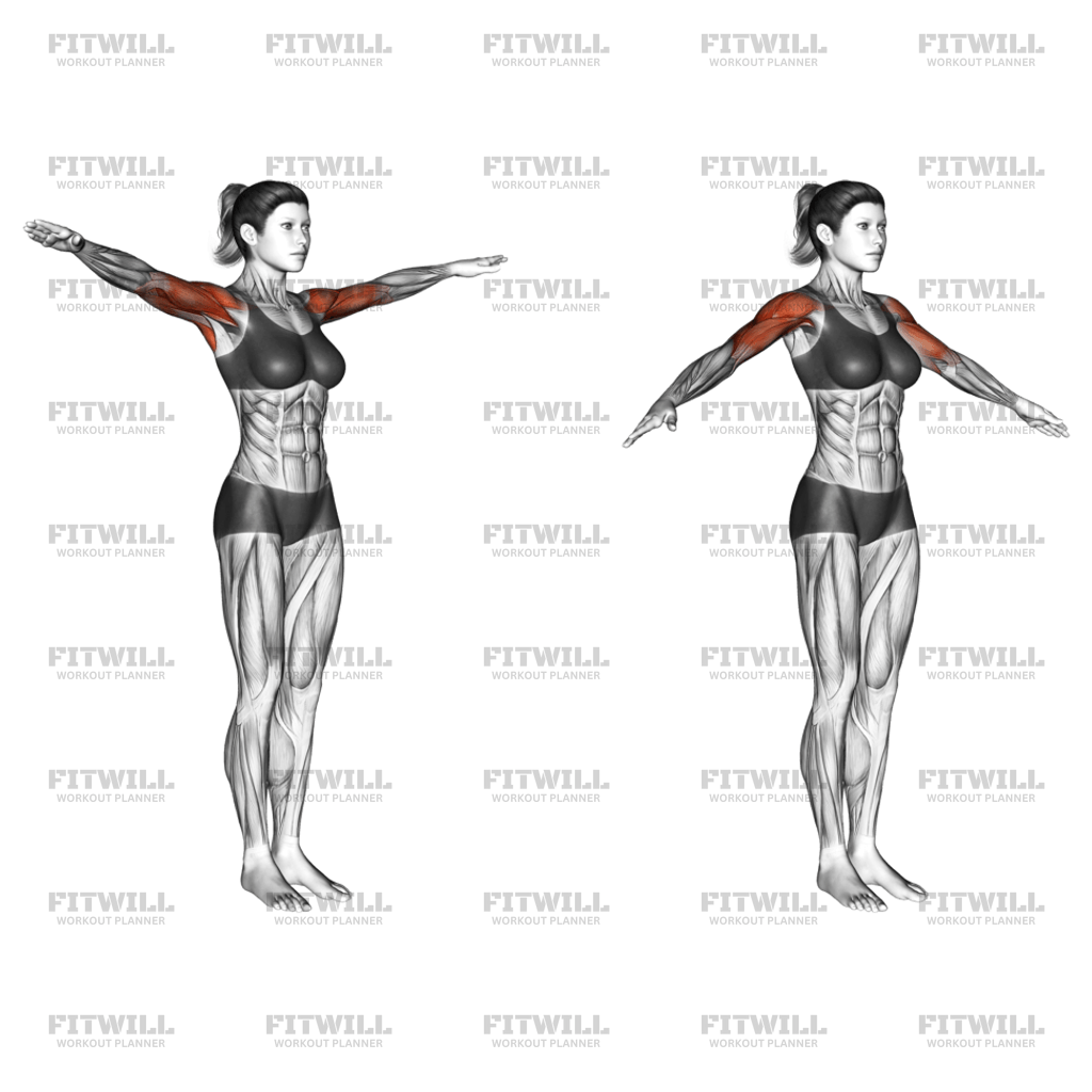 Circles Arm: Exercise Guide, Video, Techniques, Benefits, How to ...