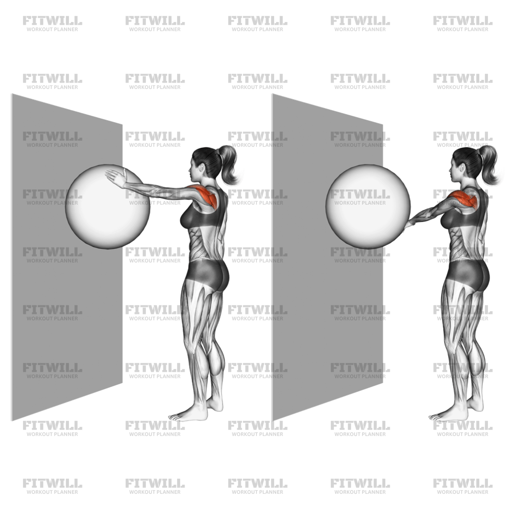 Circles Ball (wall): Exercise Guide, Techniques, Benefits, How to ...