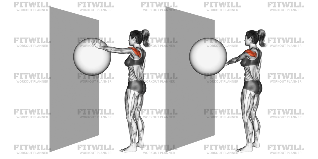 Circles Ball (wall): Exercise Guide, Techniques, Benefits, How to ...