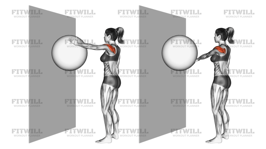 Circles Ball Wall: Exercise Guide, Techniques, Benefits, How to ...