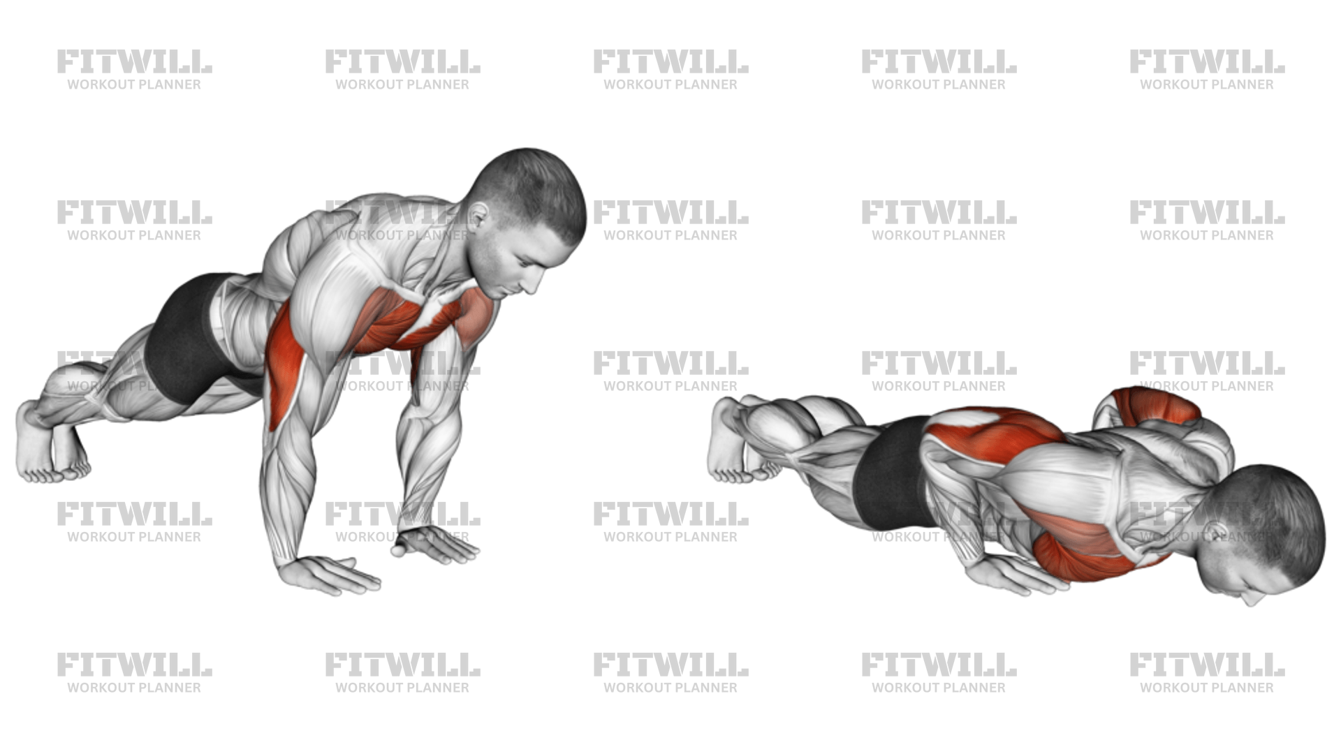 Close Grip Push-up: Exercise Guide, Video, Techniques, Benefits, How to ...