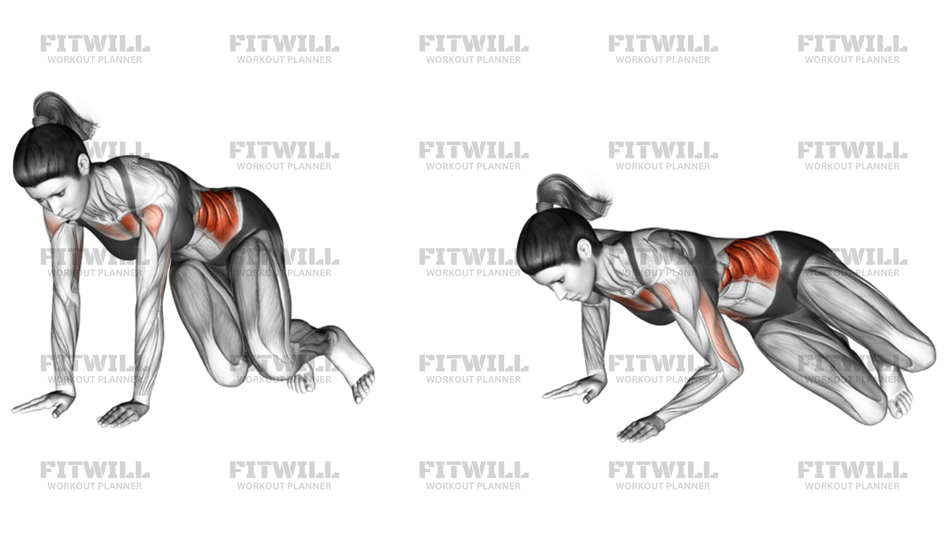 Flexión De Brazos Con Giro: Guía de Ejercicios, Técnicas, Beneficios, Cómo Realizarlo, Músculos ...