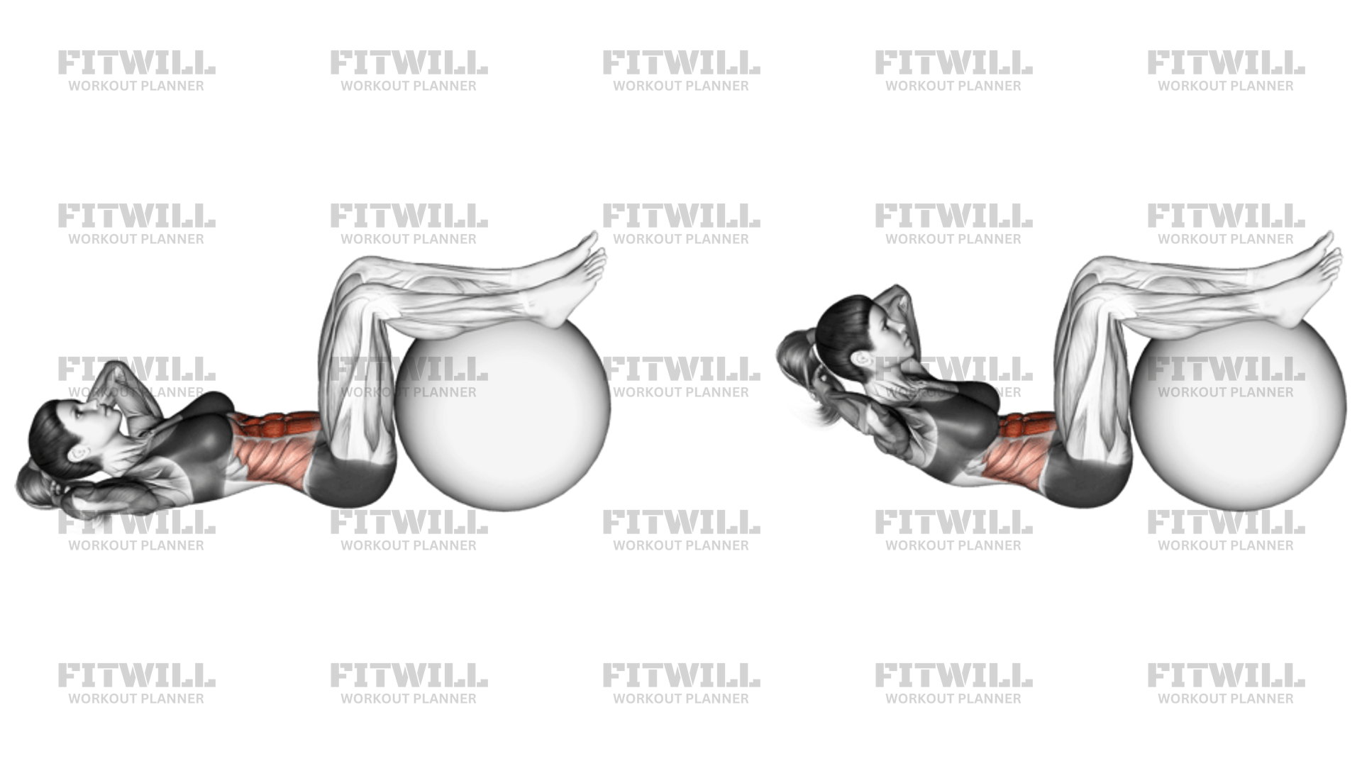 Crunch (legs On Stability Ball): Exercise Guide, Video, Techniques, Benefits, How to, Muscles ...