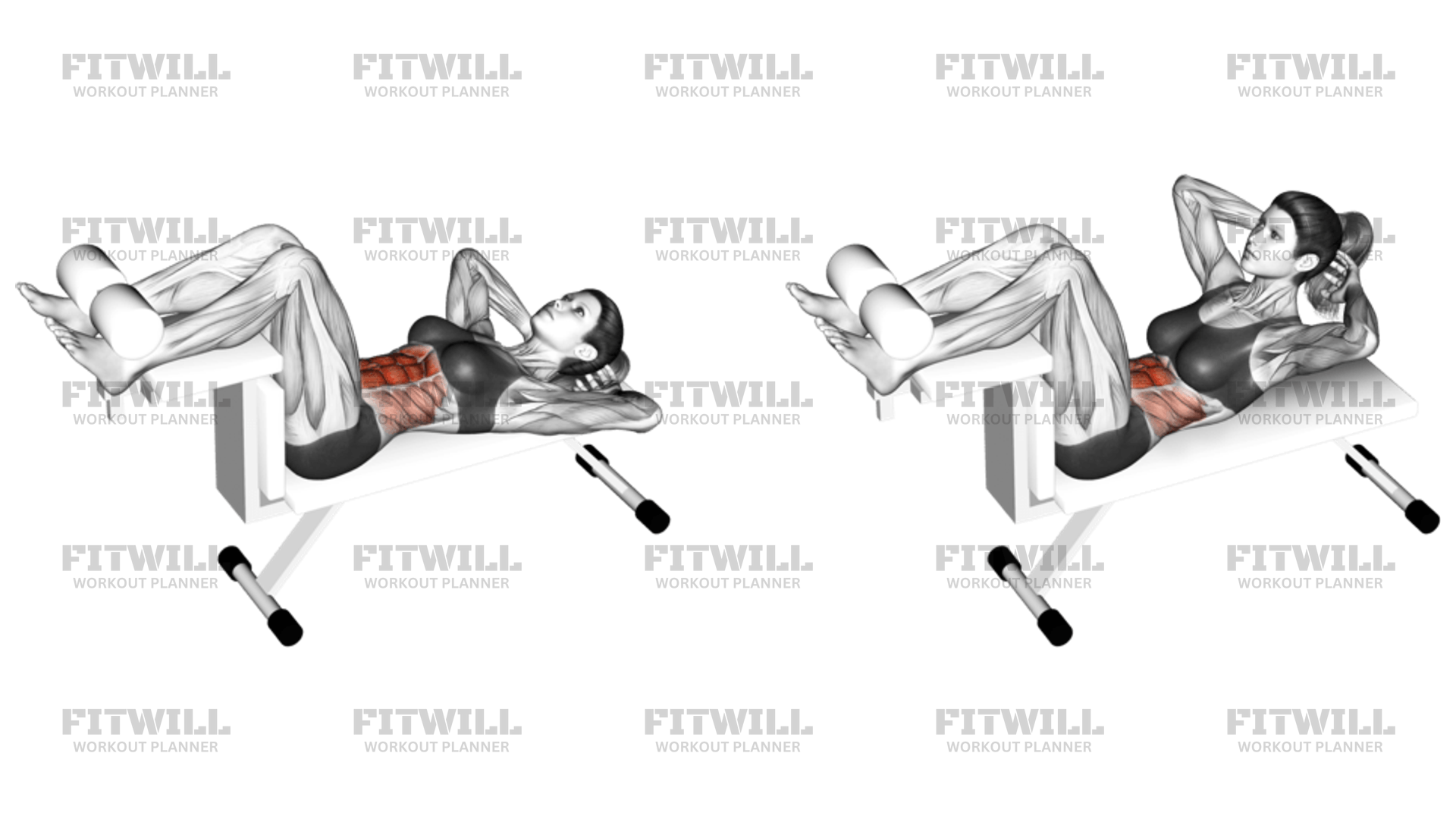 Abdominal Crunch (no Banco): Guia de Exercício, Vídeo, Técnicas ...