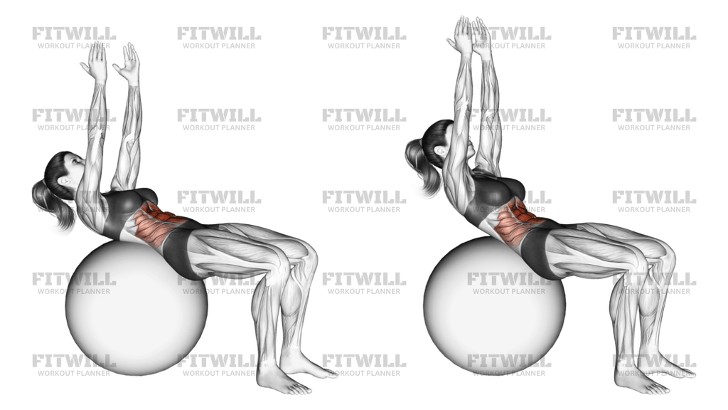 Crunch (on Stability Ball, Arms Straight): Exercise Guide, Techniques ...