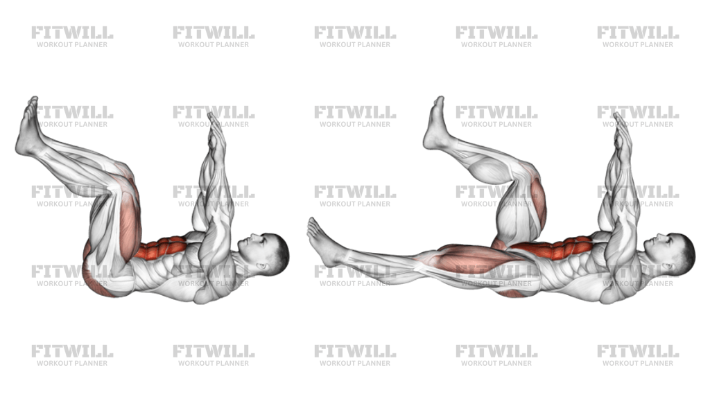 Dead Bug: Exercise Guide, Video, Techniques, Benefits, How to, Muscles ...