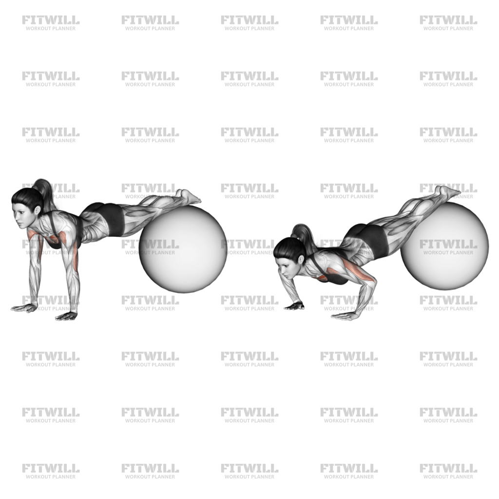 Flexión Declinada (sobre Balón De Estabilidad): Guía de Ejercicios ...