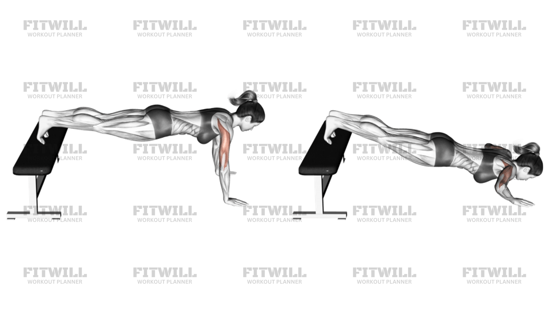 Decline Push-Up: Exercise Guide, Video, Techniques, Benefits, How to ...