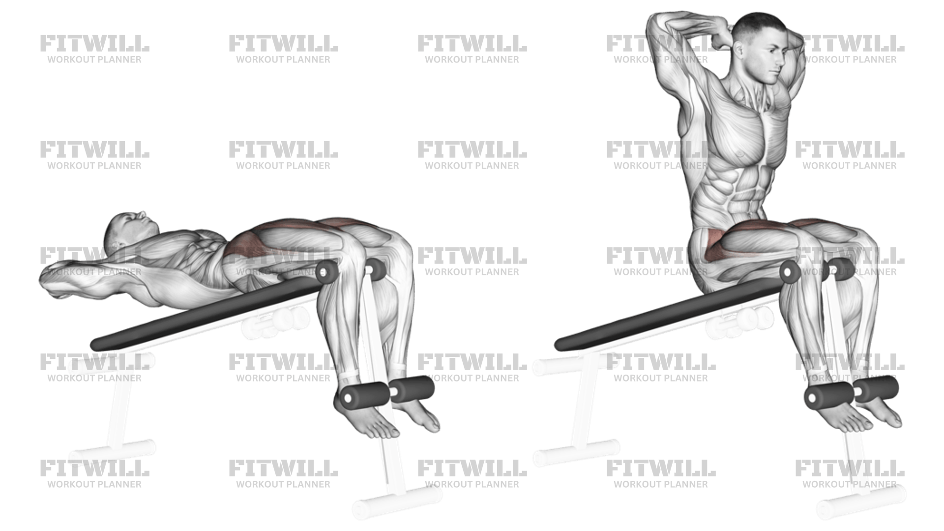 Decline Sit-Up: Exercise Guide, Video, Techniques, Benefits, How to ...