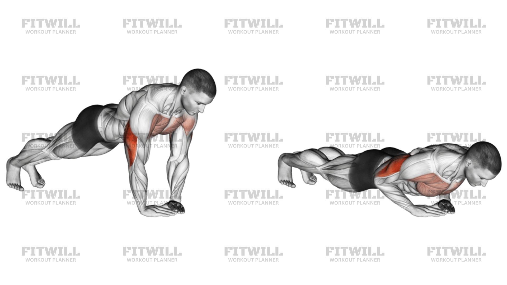 Diamond Push-up: Exercise Guide, Video, Techniques, Benefits, How to ...