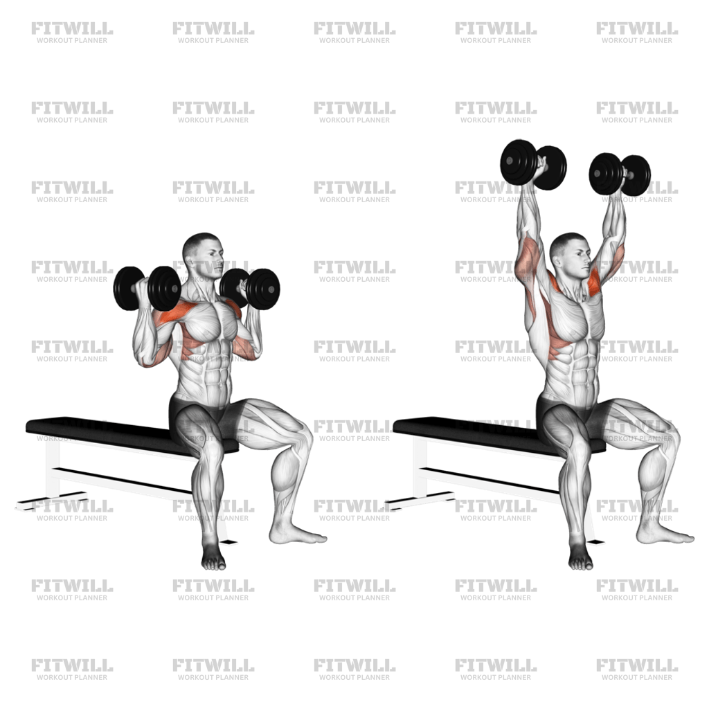 Desenvolvimento Arnold Com Halteres Versão 2: Guia de Exercícios, Vídeo ...