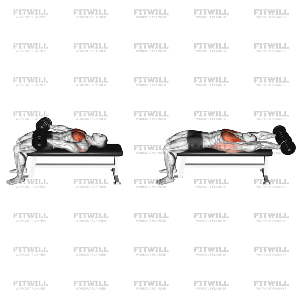 Pullover Com Halter Circular: Guia de Exercícios, Vídeo, Técnicas ...