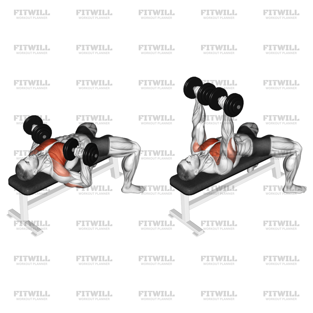 Ultimate Dumbbell Chest Workout for Mass and Definition | Workout ...