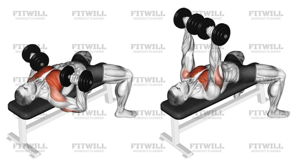 Dumbbell Chest Hypertrophy Workout for Size and Definition | Workout ...
