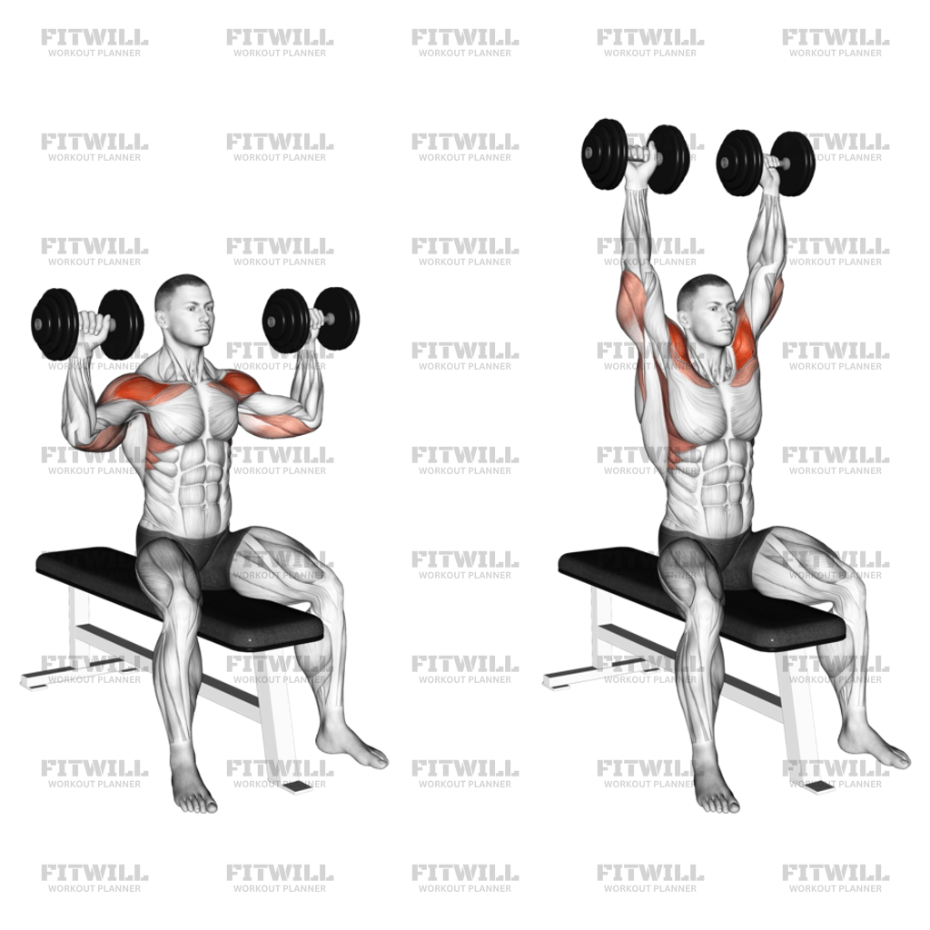Ultimate Dumbbell Shoulder Workout for Strength & Definition! | Workout ...