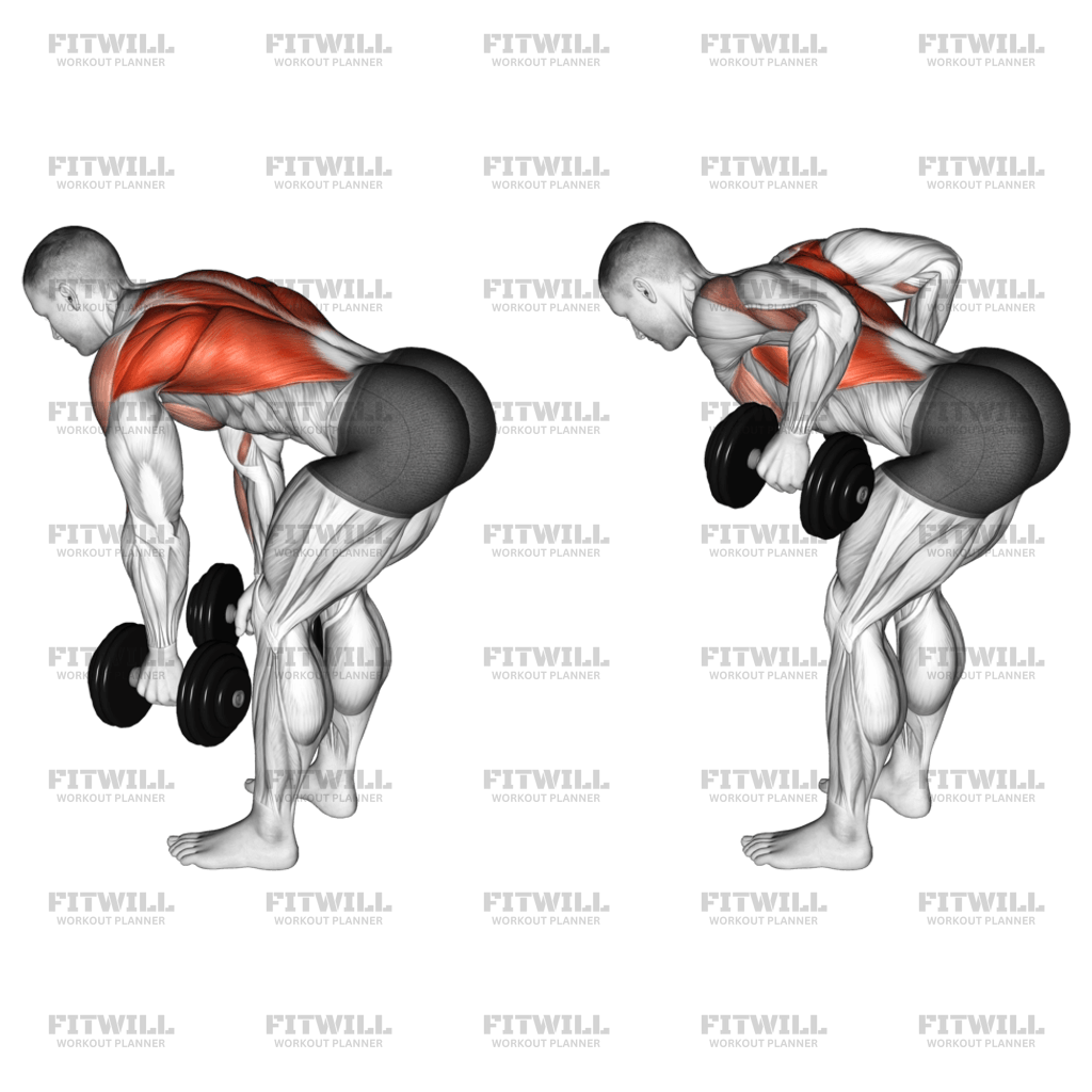 Dumbbell Bent Over Row Exercise Guide Video Techniques Benefits How To Muscles Worked