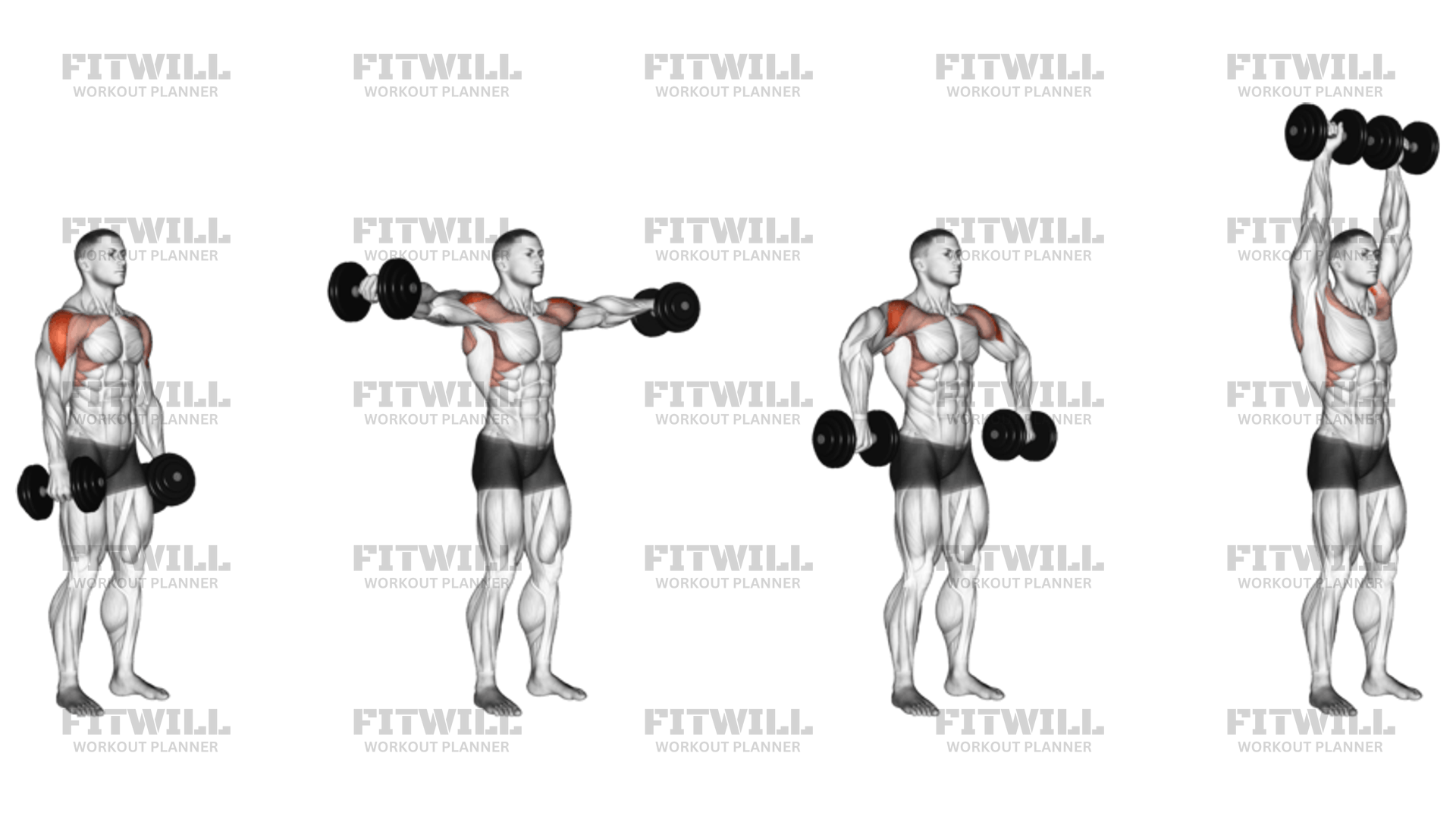 Dumbbell Cuban Press: Exercise Guide, Techniques, Benefits, How to ...