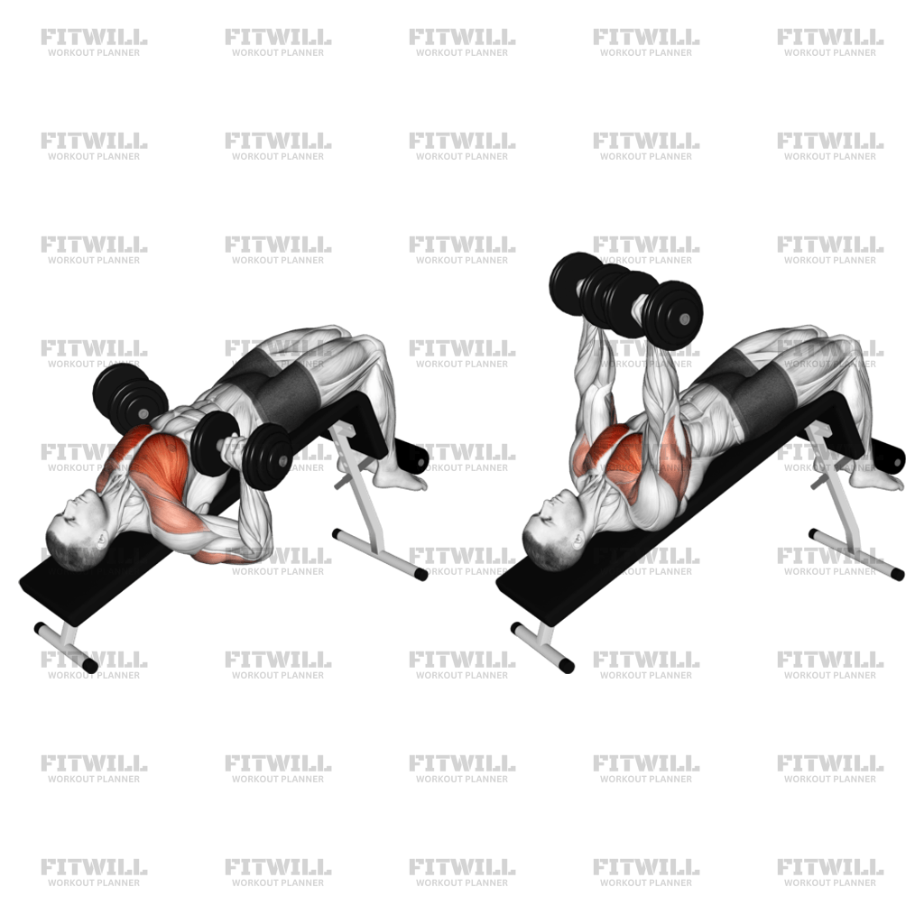 Dumbbell Decline Bench Press: Exercise Guide, Video, Techniques ...