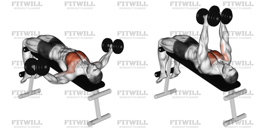 Dumbbell Decline Fly: Exercise Guide, Video, Techniques, Benefits, How ...