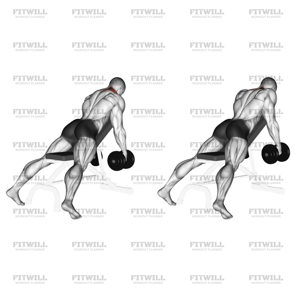 Dumbbell Decline Shrug Version 2: Exercise Guide, Techniques, Benefits ...