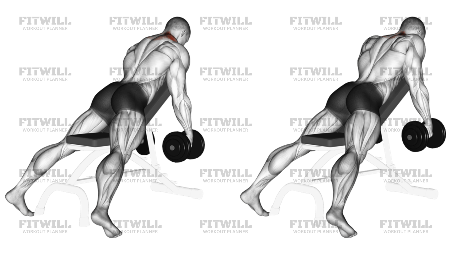 Dumbbell Decline Shrug (version 2): Exercise Guide, Techniques ...
