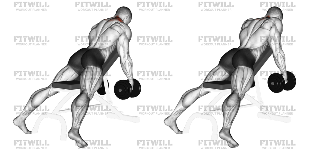 Dumbbell Decline Shrug (version 2): Exercise Guide, Techniques ...