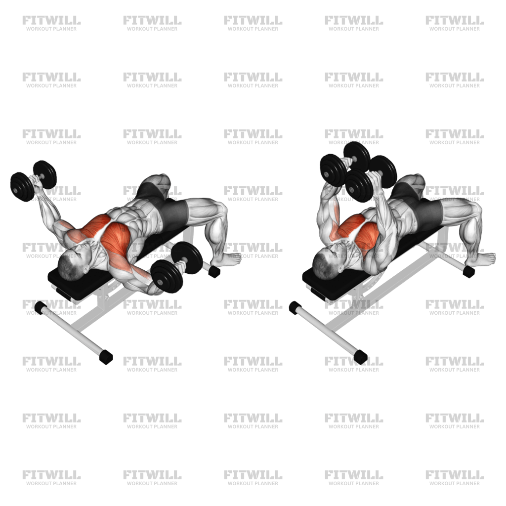 Dumbbell Chest Fly: Exercise Guide, Video, Techniques, Benefits, How to ...