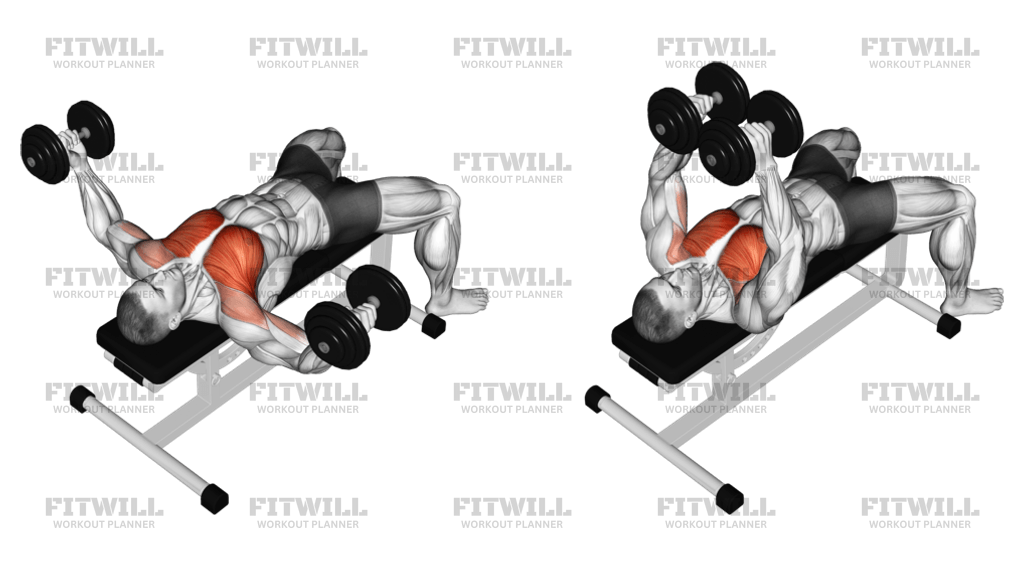 Dumbbell Chest Fly: Exercise Guide, Video, Techniques, Benefits, How to ...