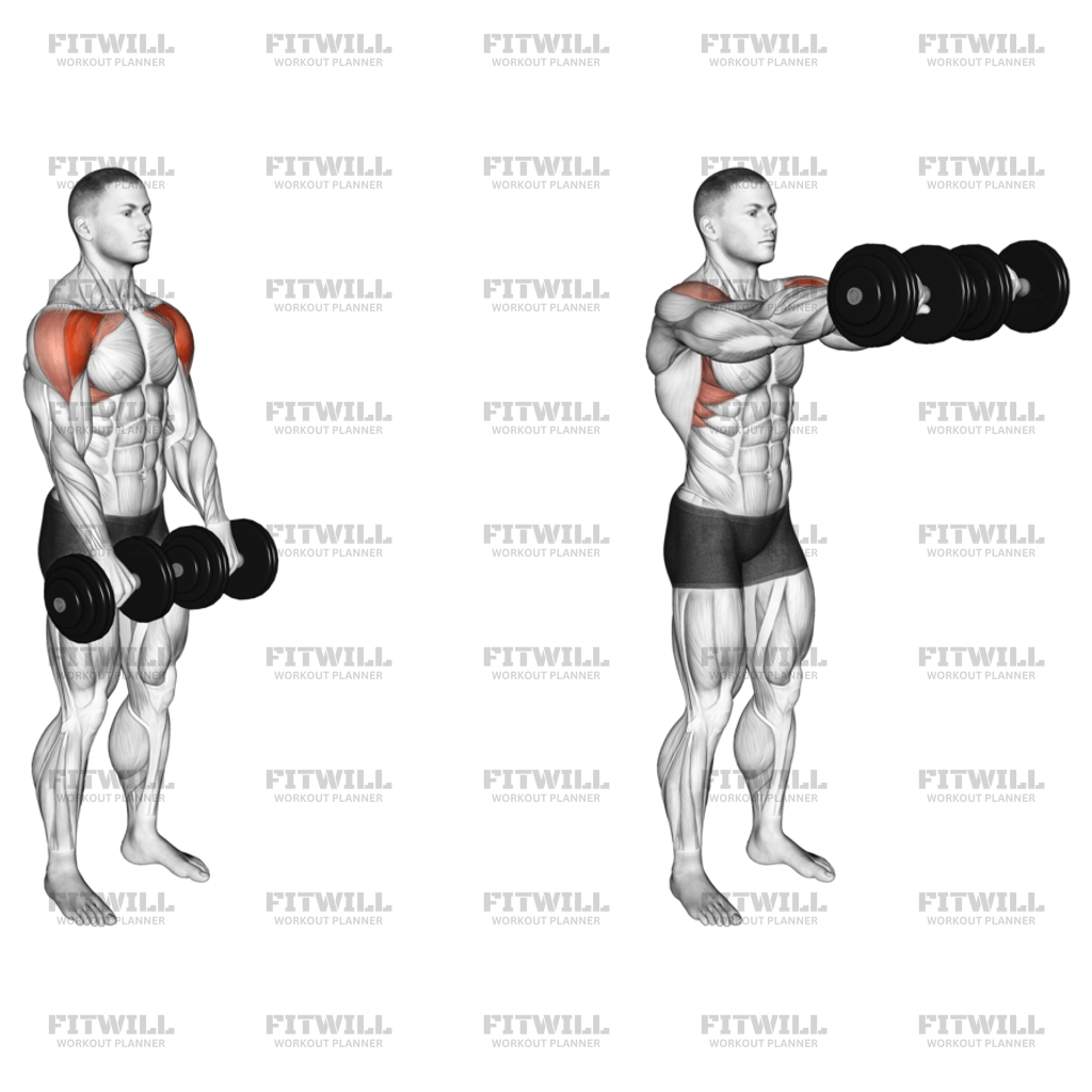 Elevación Frontal Con Mancuernas: Guía de Ejercicios, Video, Técnicas ...