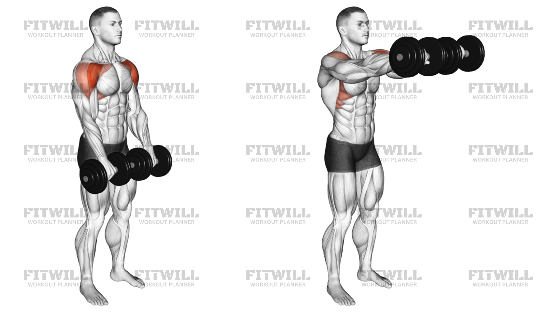 Dumbbell Front Raise: Exercise Guide, Video, Techniques, Benefits, How ...