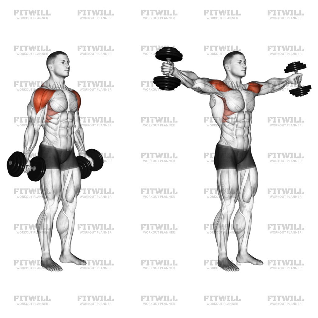 Dumbbell Full Can Lateral Raise: Exercise Guide, Techniques, Benefits, How to, Muscles Worked ...