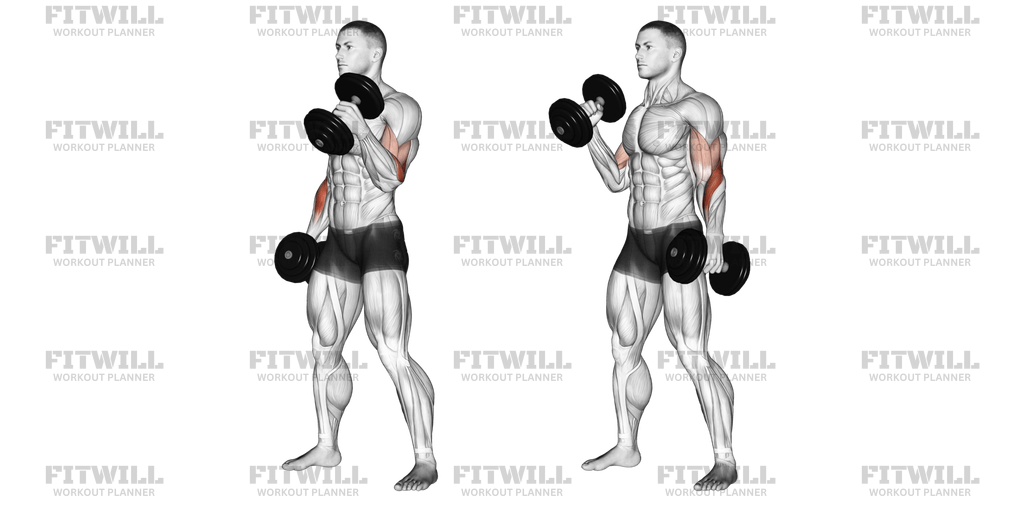 Dumbbell Alternating Hammer Curl: Exercise Guide, Video, Techniques ...