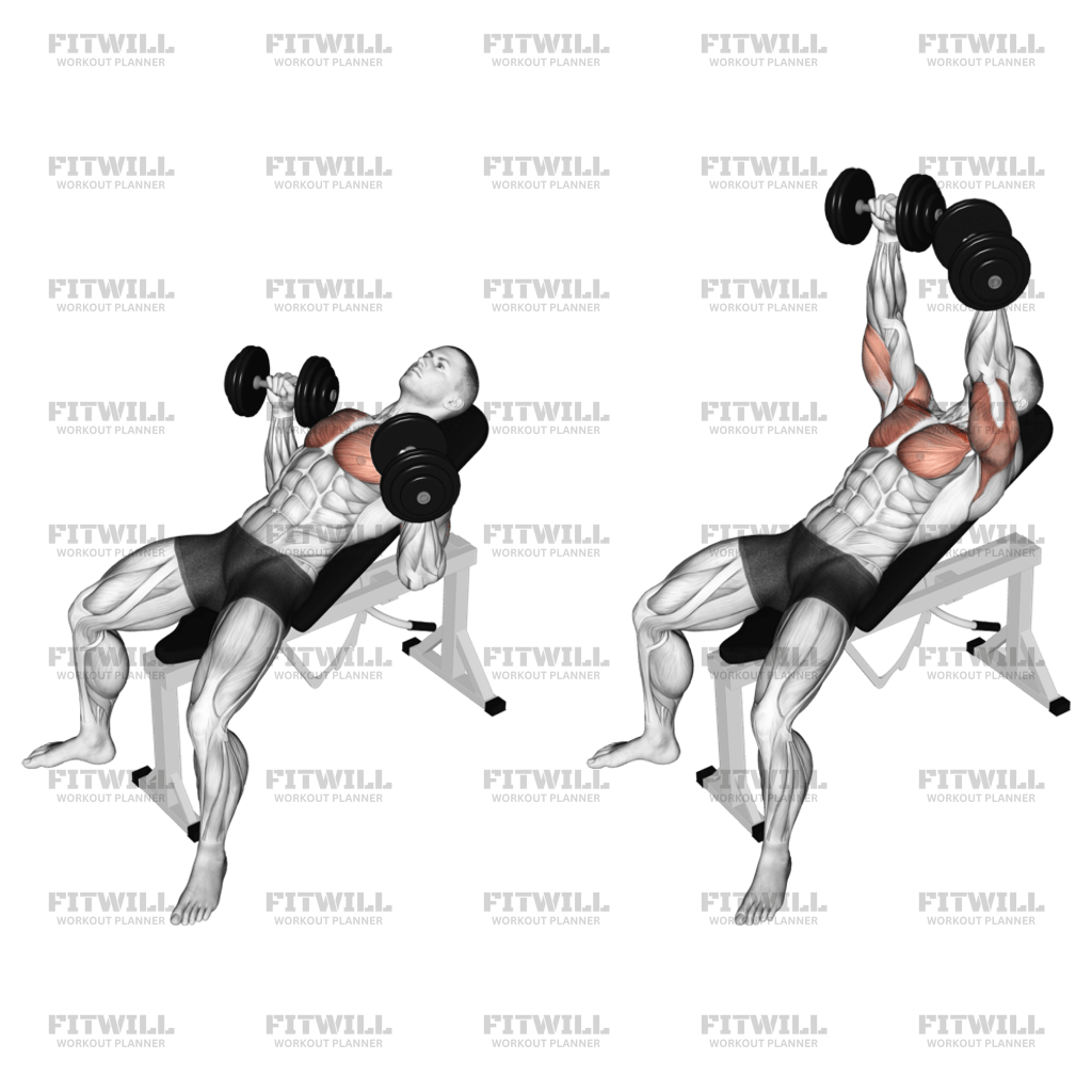 Dumbbell Incline Bench Press: Exercise Guide, Video, Techniques ...
