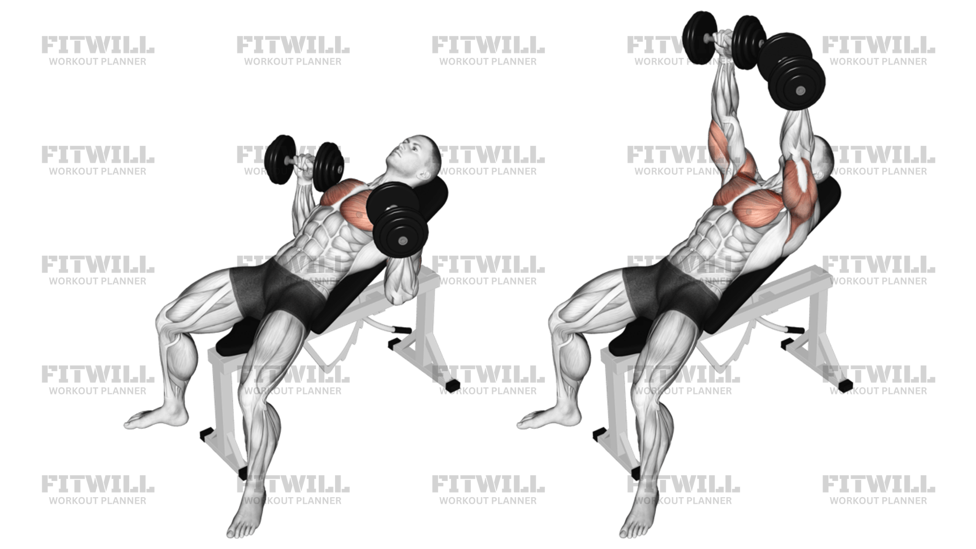 Dumbbell Incline Bench Press: Exercise Guide, Video, Techniques ...