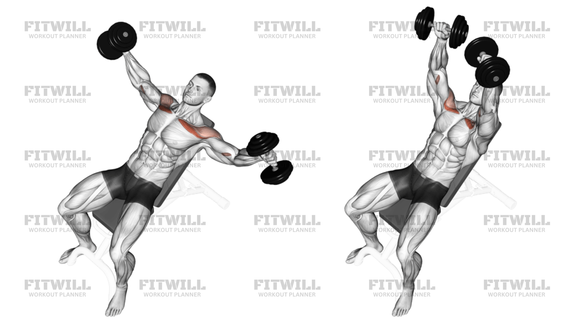 Press Inclinado Con Mancuernas: Guía de Ejercicios, Video, Técnicas ...