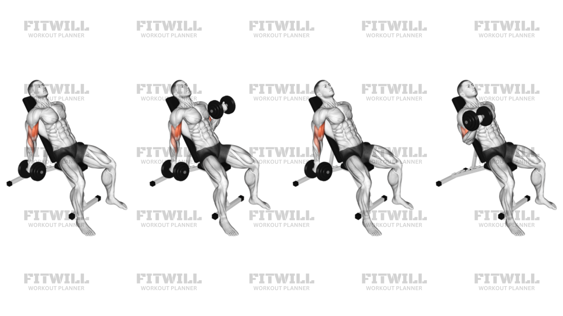 Dumbbell Incline Curl: Exercise Guide, Video, Techniques, Benefits, How ...