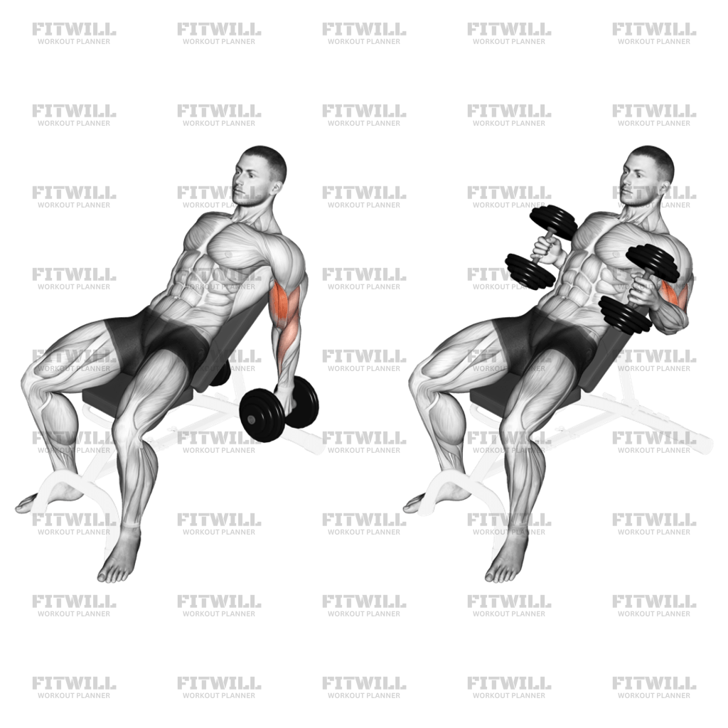 Dumbbell Incline Hammer Curl: Exercise Guide, Video, Techniques ...